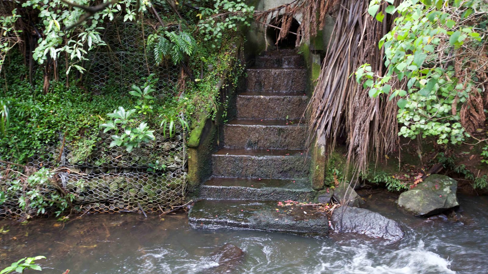 Stormwater flooding hazard information