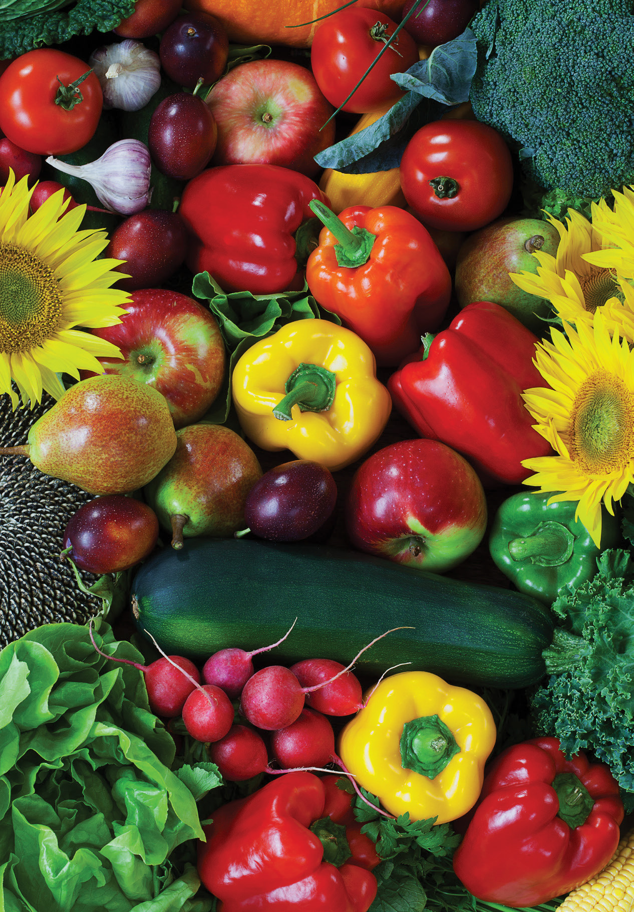 How to use Bioboost®