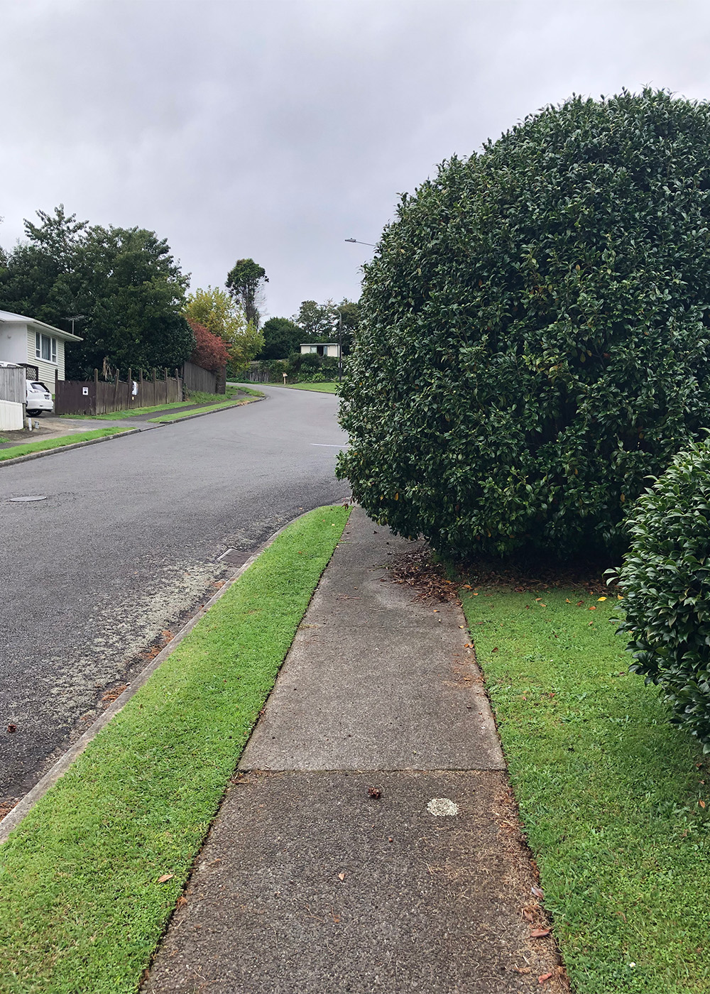 Vegetation overhanging footpaths and roads