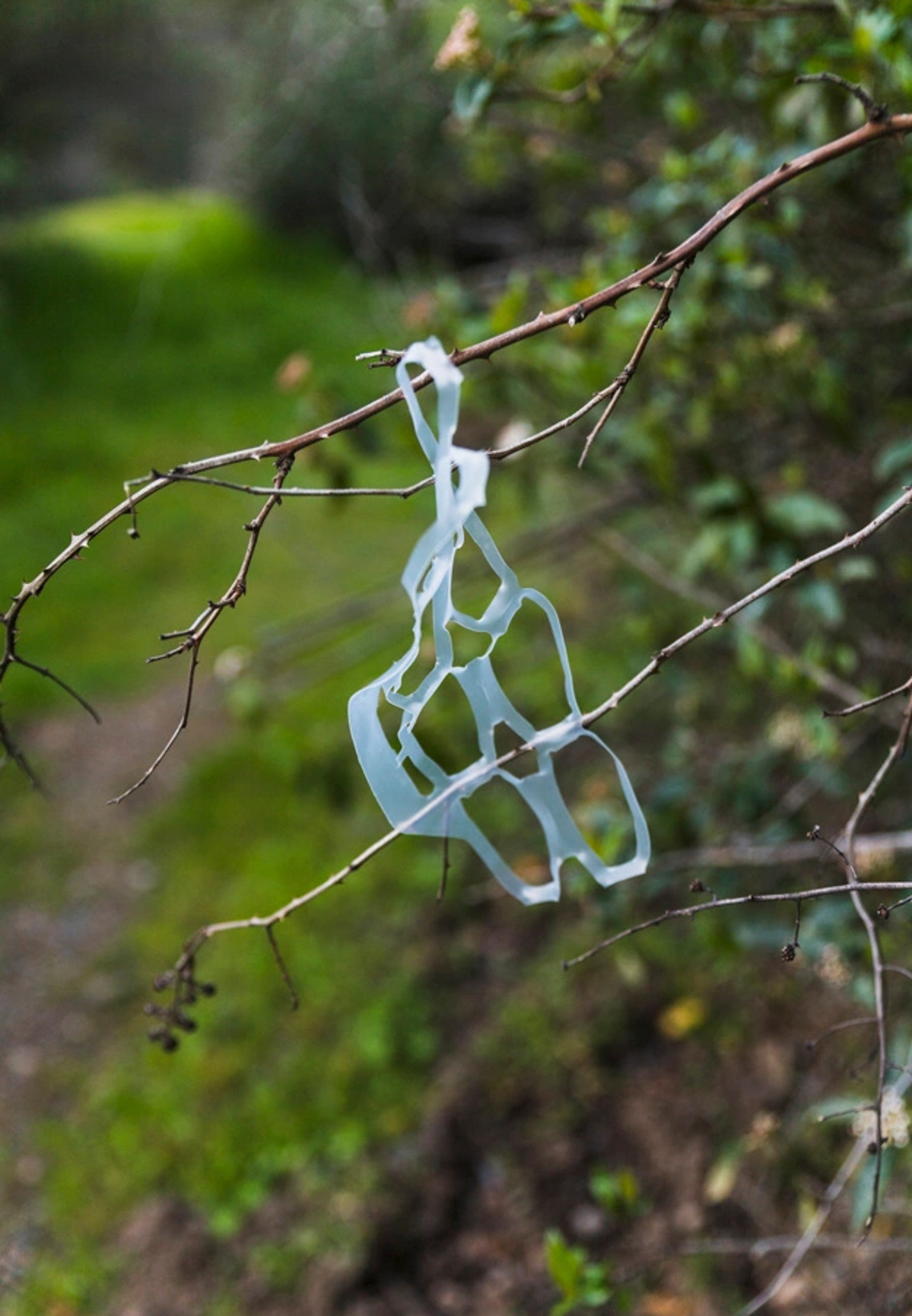 Litter
