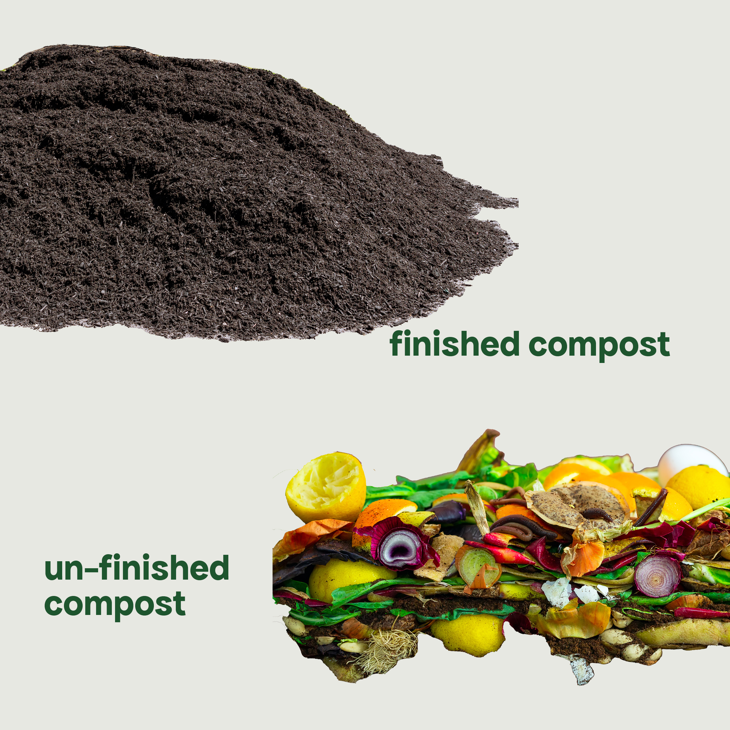 Composting Bin