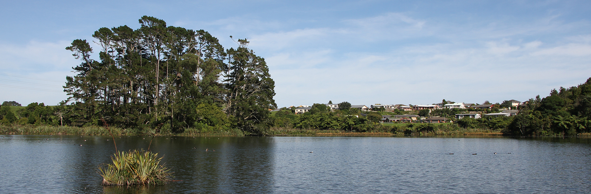 Parks, gardens and reserves