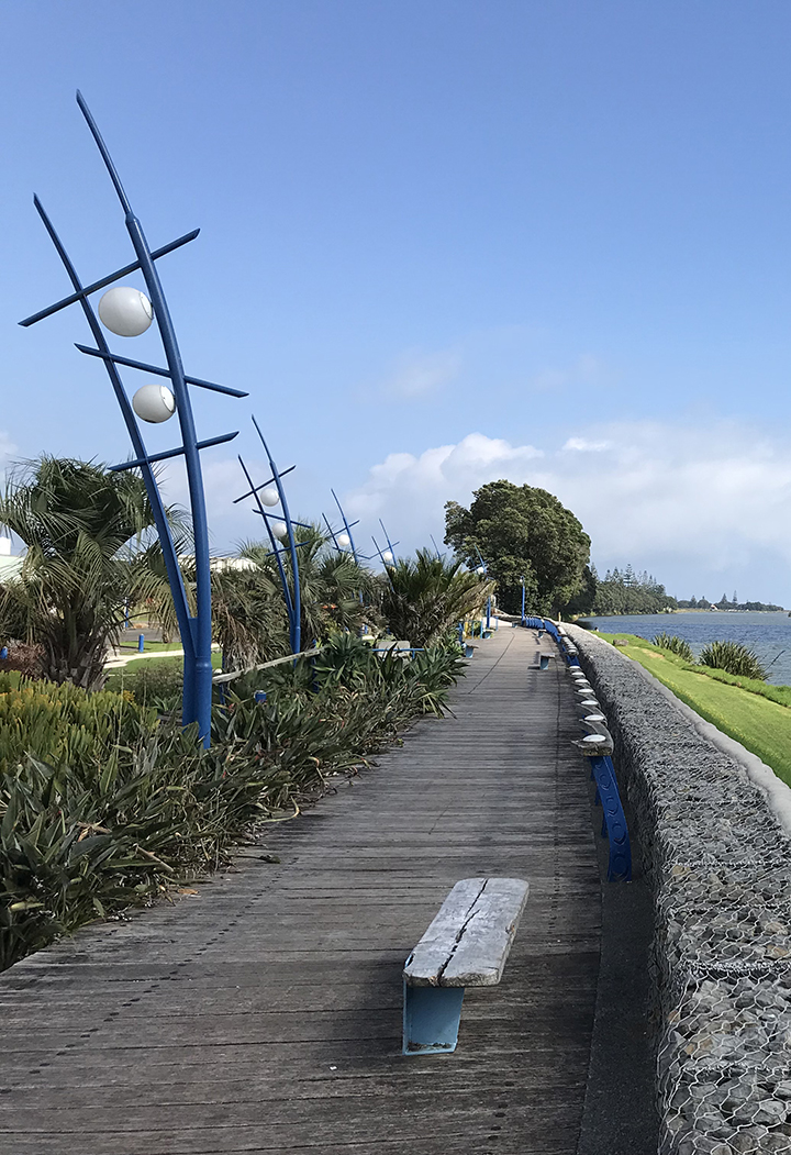 Waitara Lands Act 2018